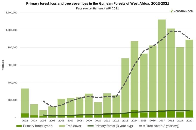 Global forest loss increased in 2020 - Forestry in South Africa