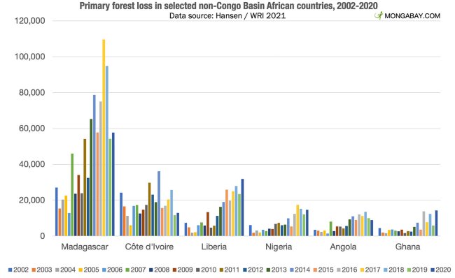 Global forest loss increased in 2020 - Forestry in South Africa