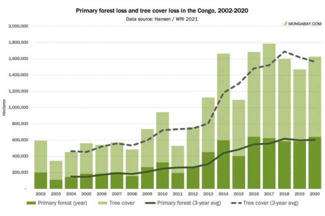 Global forest loss increased in 2020 - Forestry in South Africa