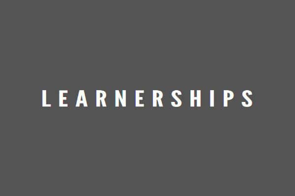 Learnerships - Forestry in South Africa